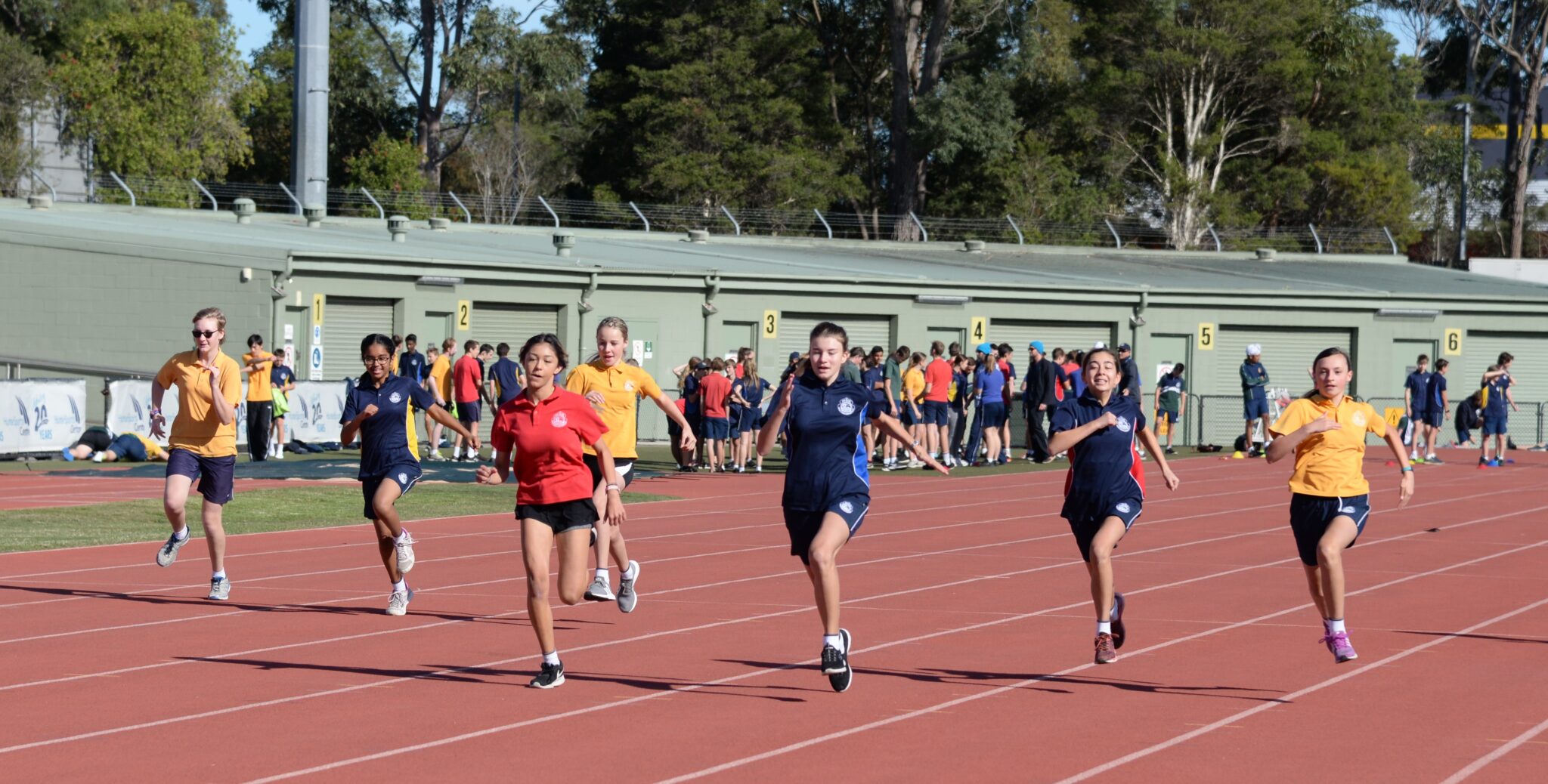 Houses - Bishop Tyrrell Anglican College